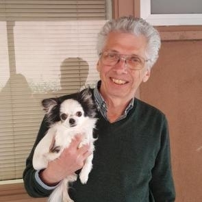 VINCE MORABITO | English for Multilingual Students